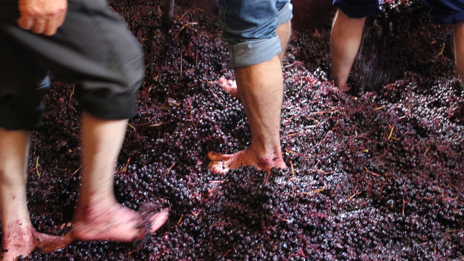 Custom San Sebastián Tours | Basque Bites